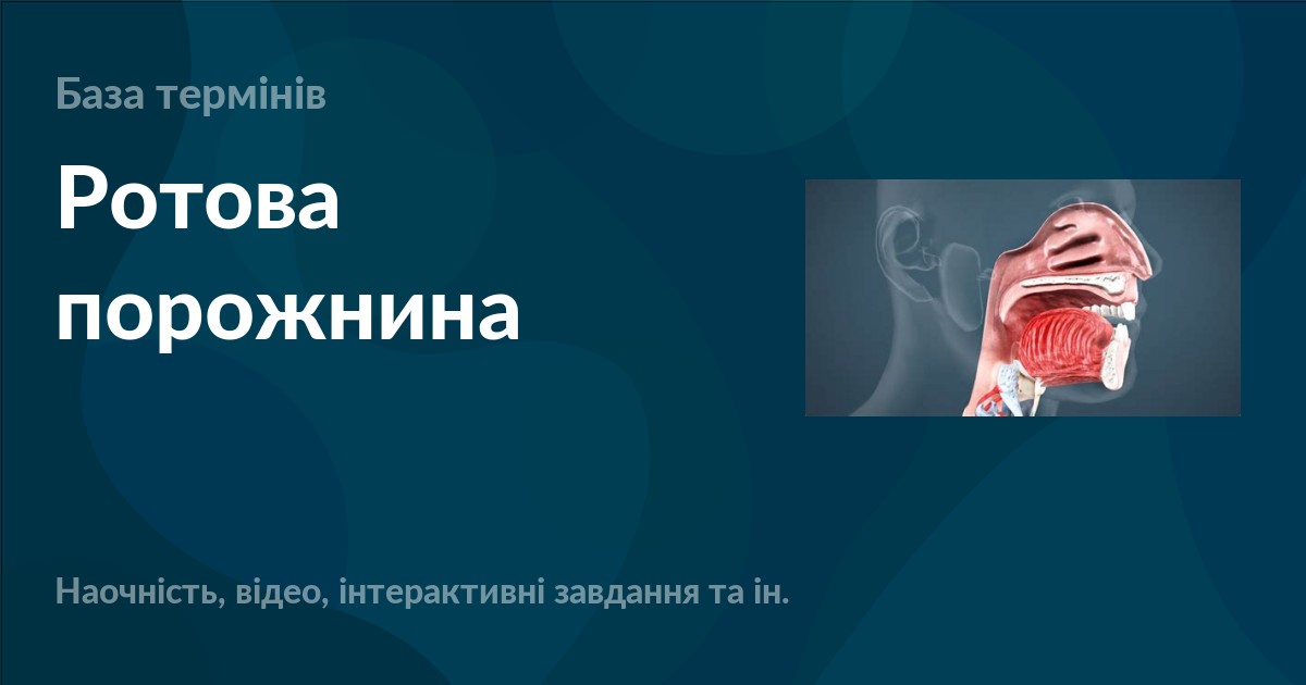 Ротова порожнина – УМІТИ