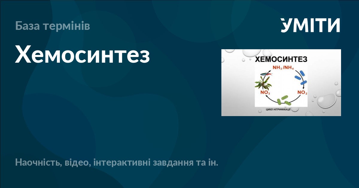 Хемосинтез – УМІТИ